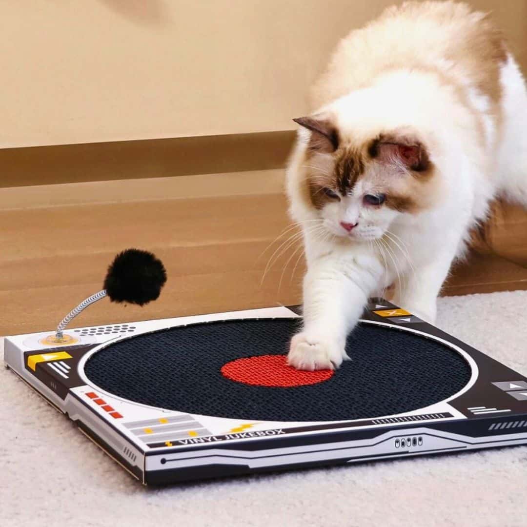 vinyl scratching