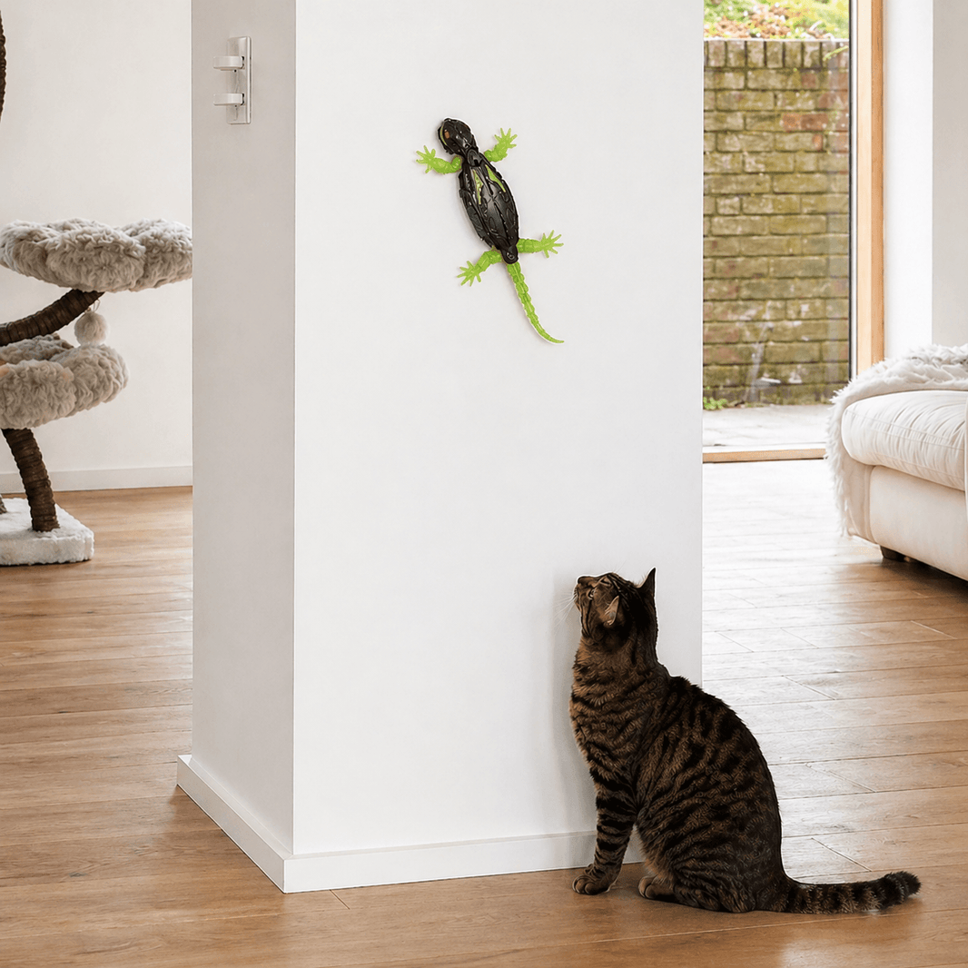 Huh Cat Meme Papercraft Template (Printable PDF, 1:1 & 4") – Petites Paws